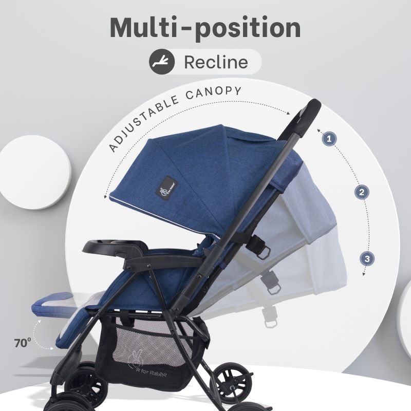R for Rabbit's Poppins Joy: Custom Stroller for Happy Babies